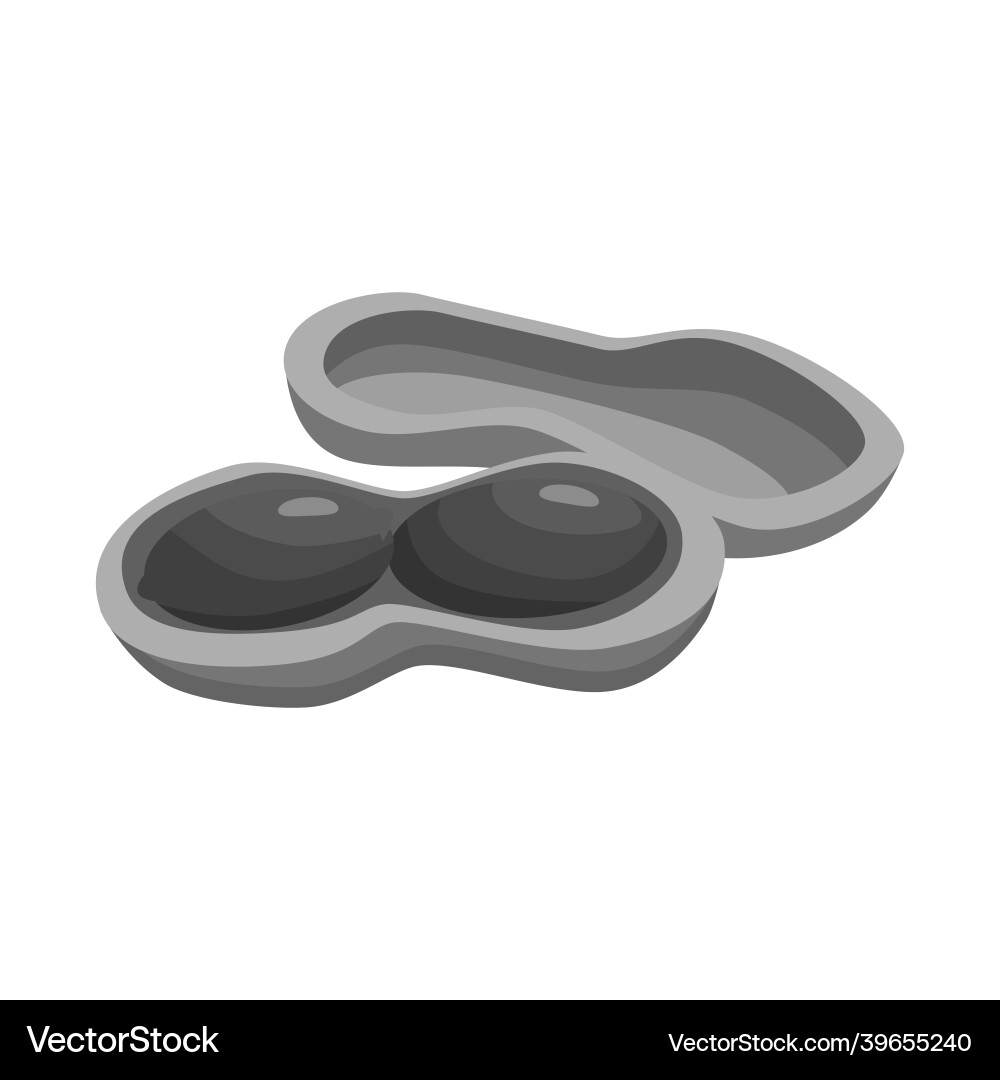 Design of peanut and shell icon collection Vector Image