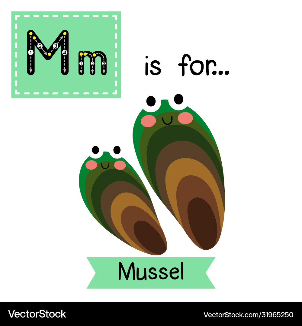 Letter m tracing mussel Royalty Free Vector Image