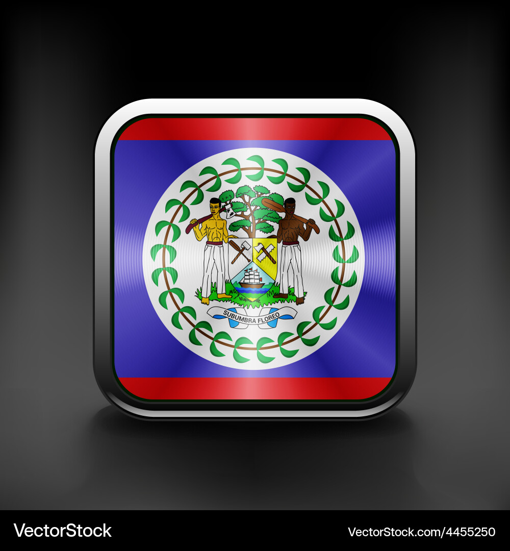 Square icon with flag of belize with reflection Vector Image