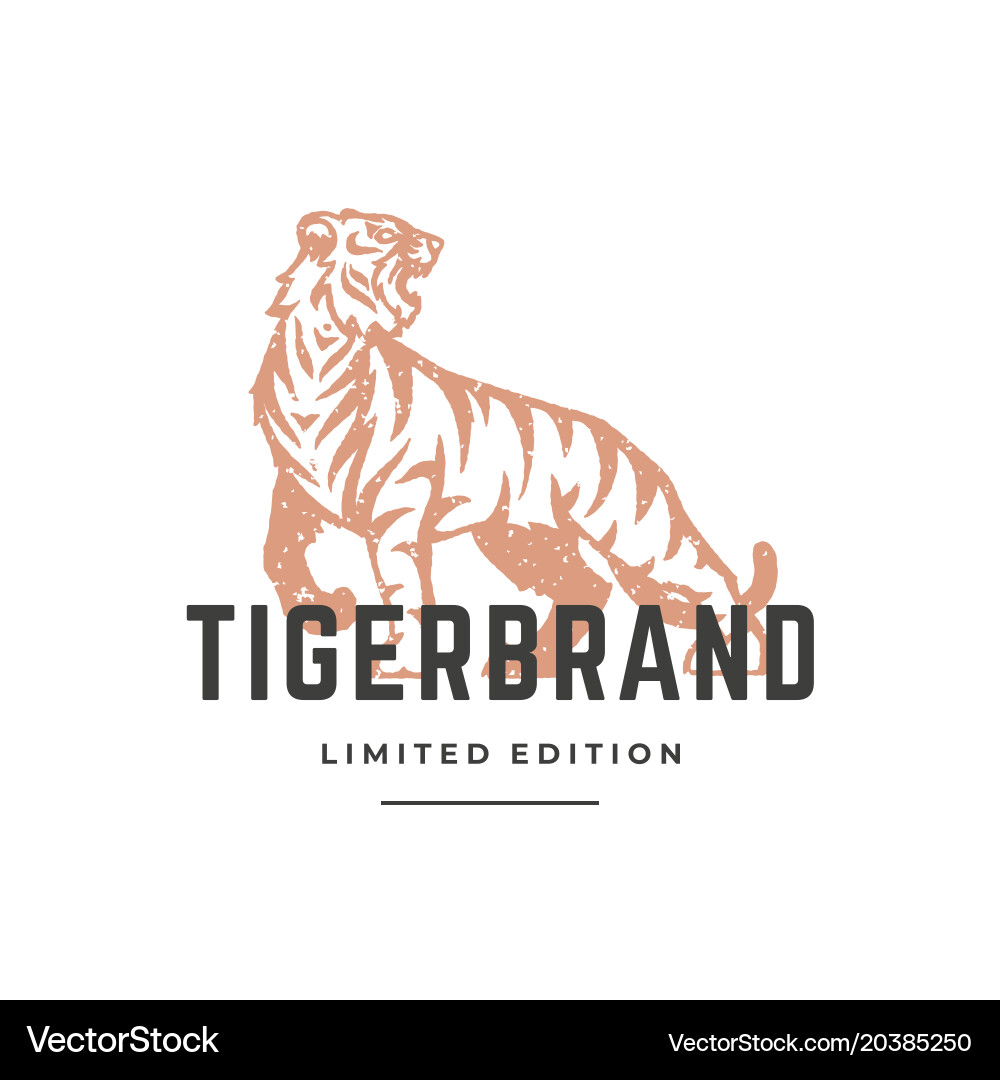 Tiger hand drawn logo isolated on white background