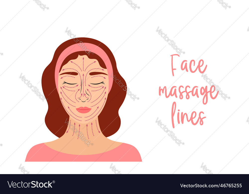 Face massage lines rules Royalty Free Vector Image