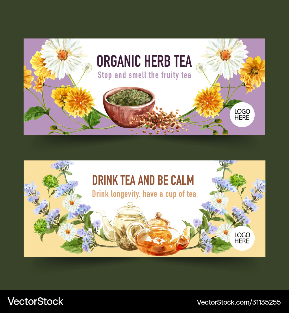 Herbal tea banner design with tea pot chamomile Vector Image