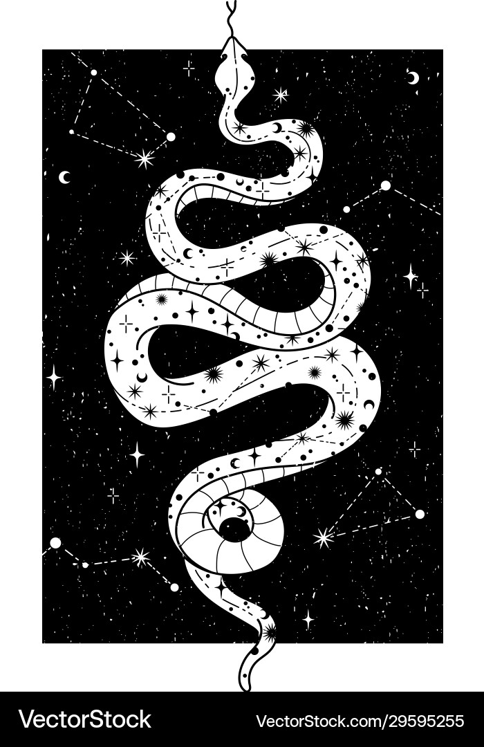 Occult trendy hand drawn with snake Royalty Free Vector