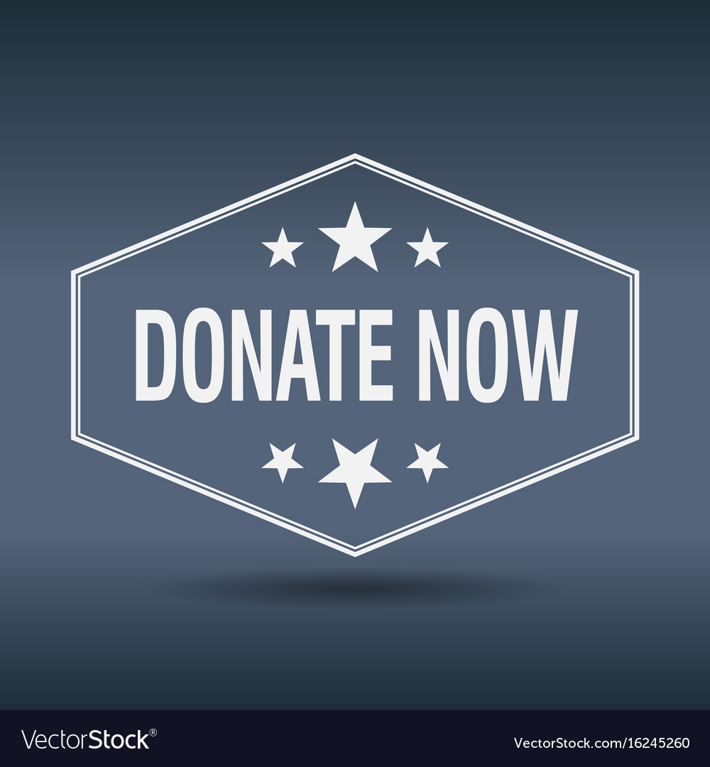 Donate now Royalty Free Vector Image - VectorStock
