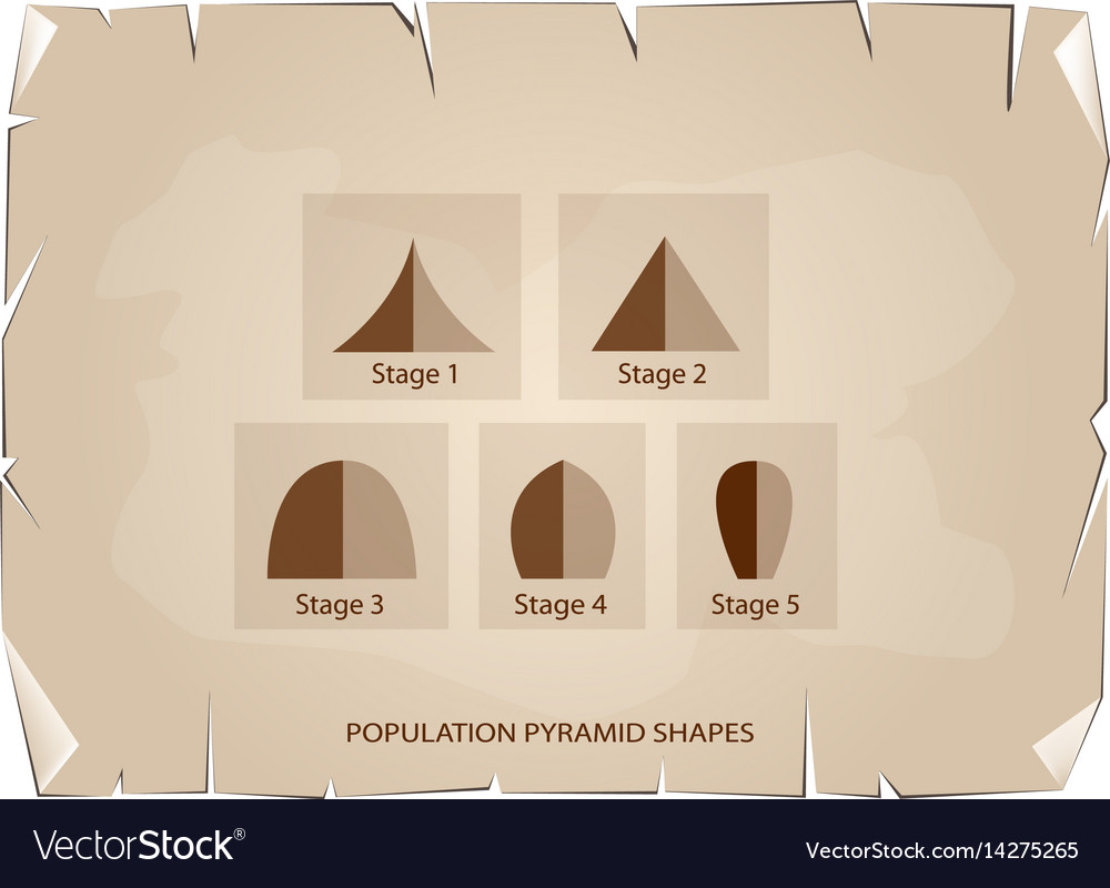 Different types population pyramids on old paper Vector Image Different types population pyramids on old paper Vector Image