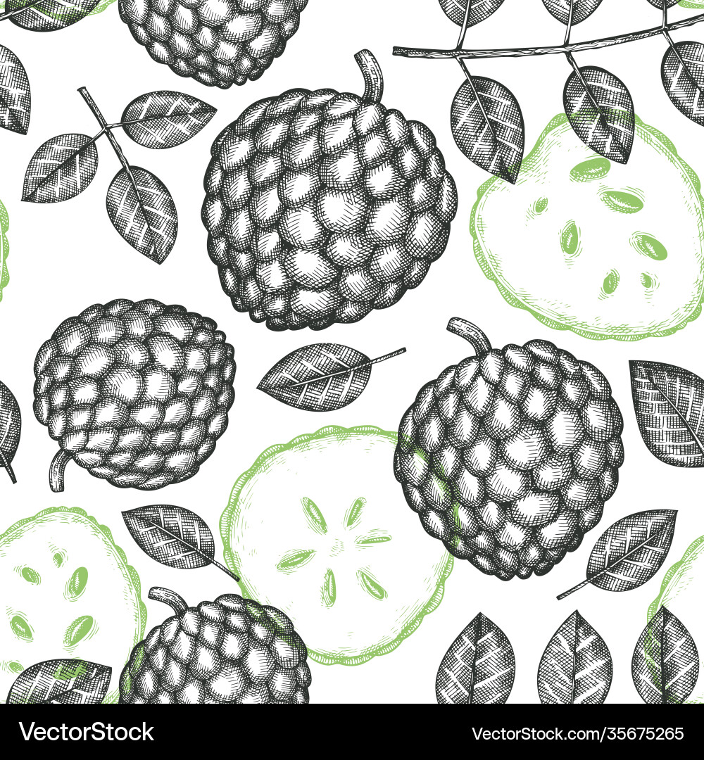 Hand drawn sketch style cherimoya seamless Vector Image