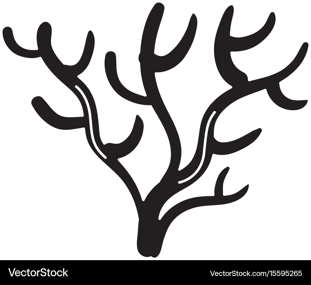Marine coral isolated icon Royalty Free Vector Image