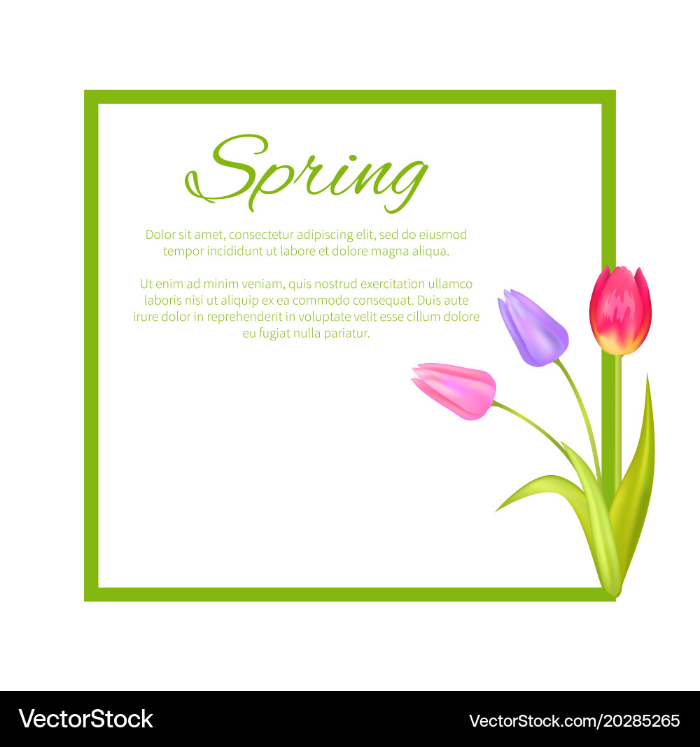 Spring poster with text in frame colorful bouquet Vector Image