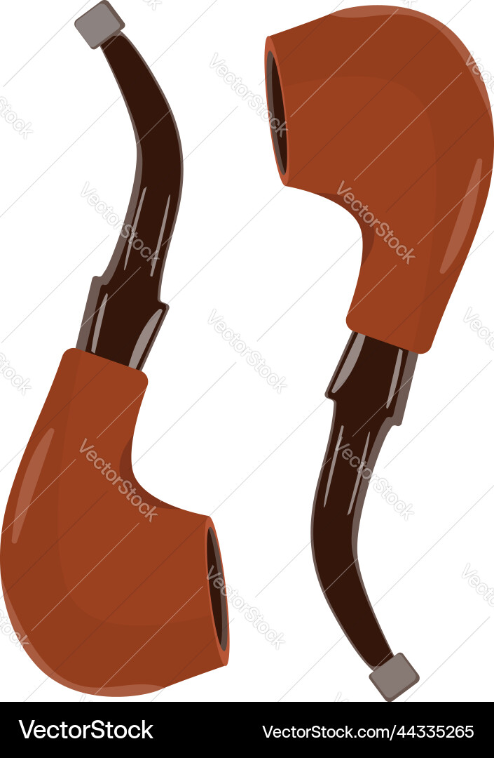 Two brown smoke pipes on a white background Vector Image