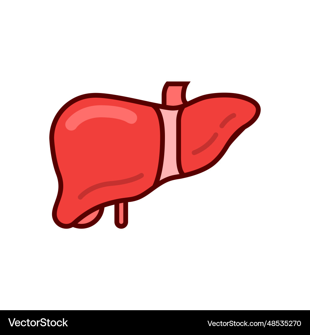 Human liver organ icon design template Royalty Free Vector