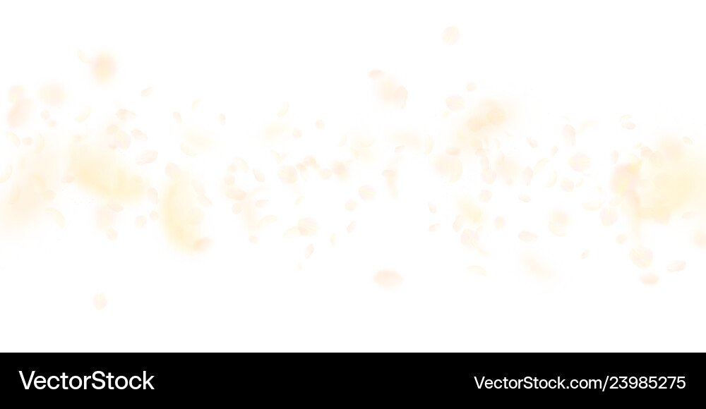Yellow orange flower petals falling down terrific Vector Image