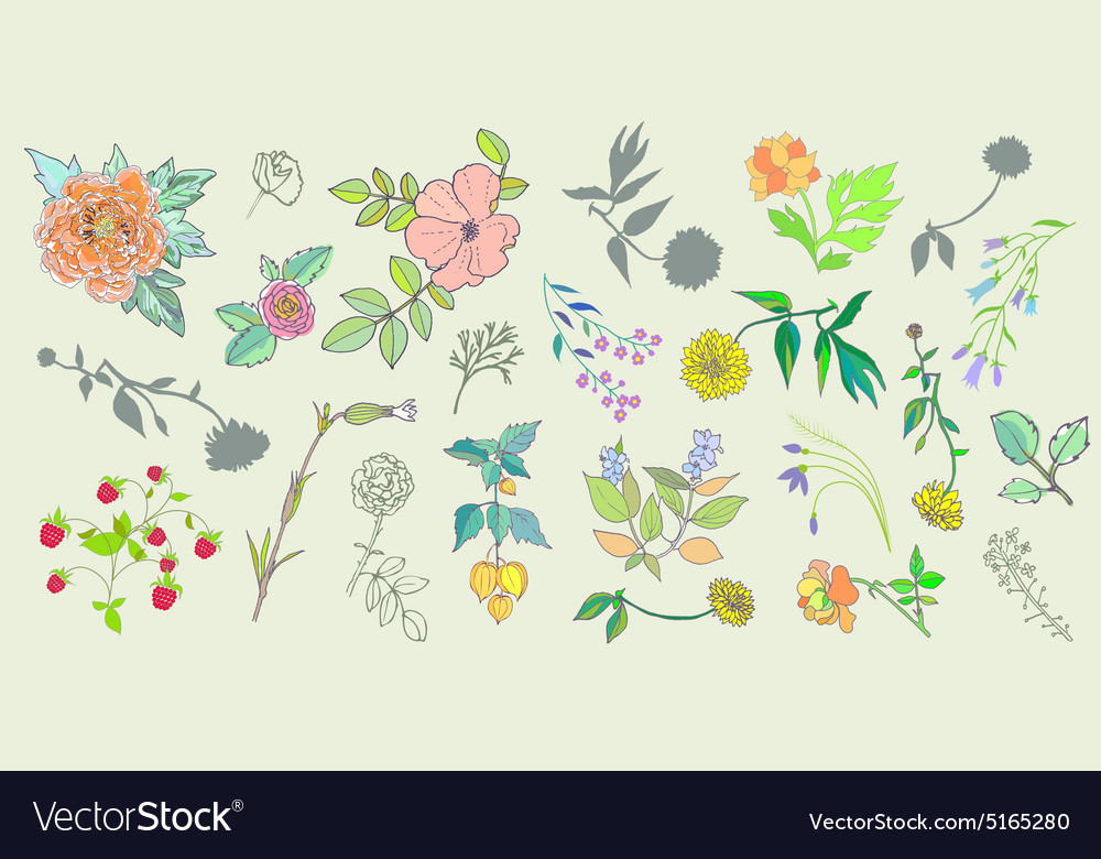Decorative design elements Royalty Free Vector Image