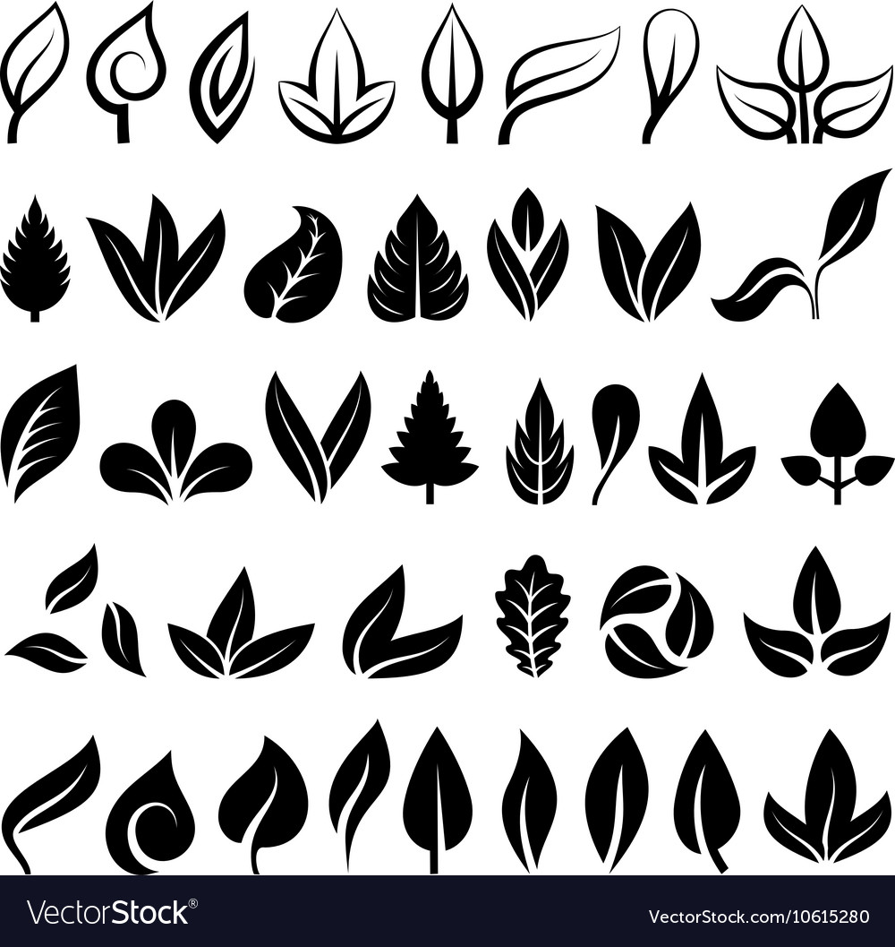 Leaf icon Royalty Free Vector Image - VectorStock
