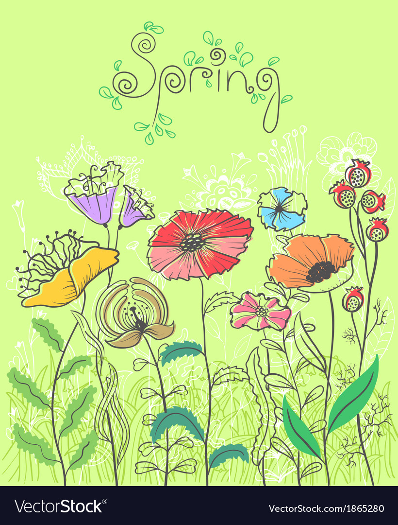 Spring flower Royalty Free Vector Image - VectorStock