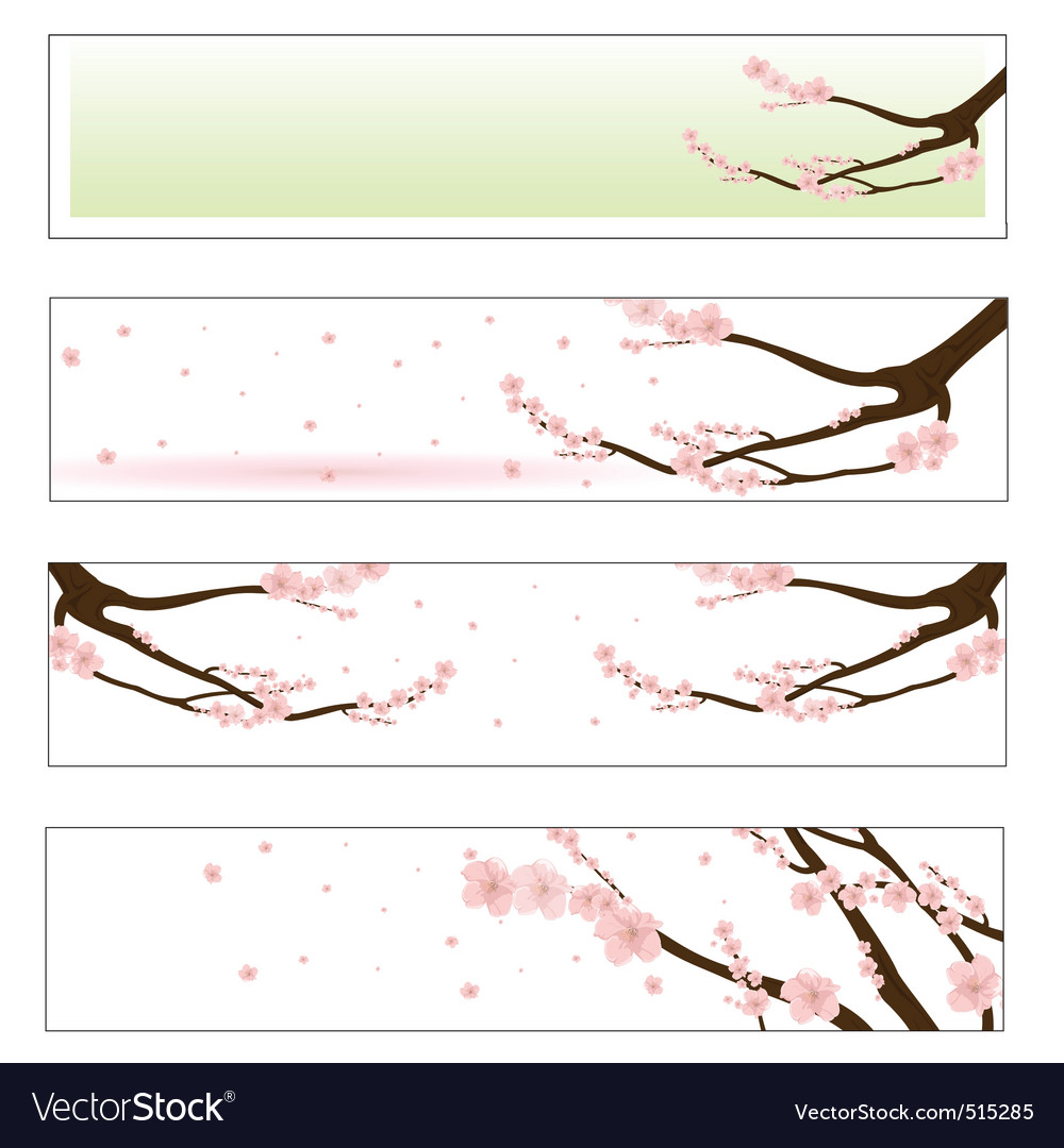 Flowered sakura Royalty Free Vector Image - VectorStock