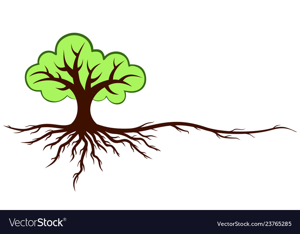 Green tree with roots Royalty Free Vector Image Green tree with roots Royalty Free Vector Image