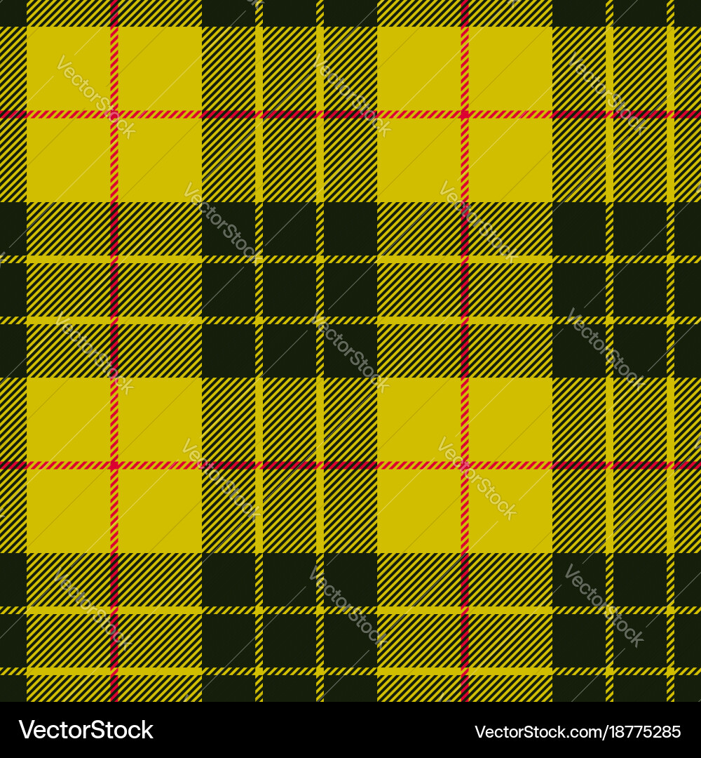 Scottish plaid black bands on yellow macleod Vector Image