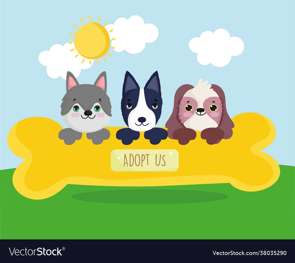 Adopt us cute dogs Royalty Free Vector Image - VectorStock