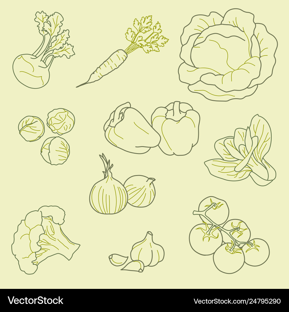 Set hand-drawn vegetables organic healthy Vector Image