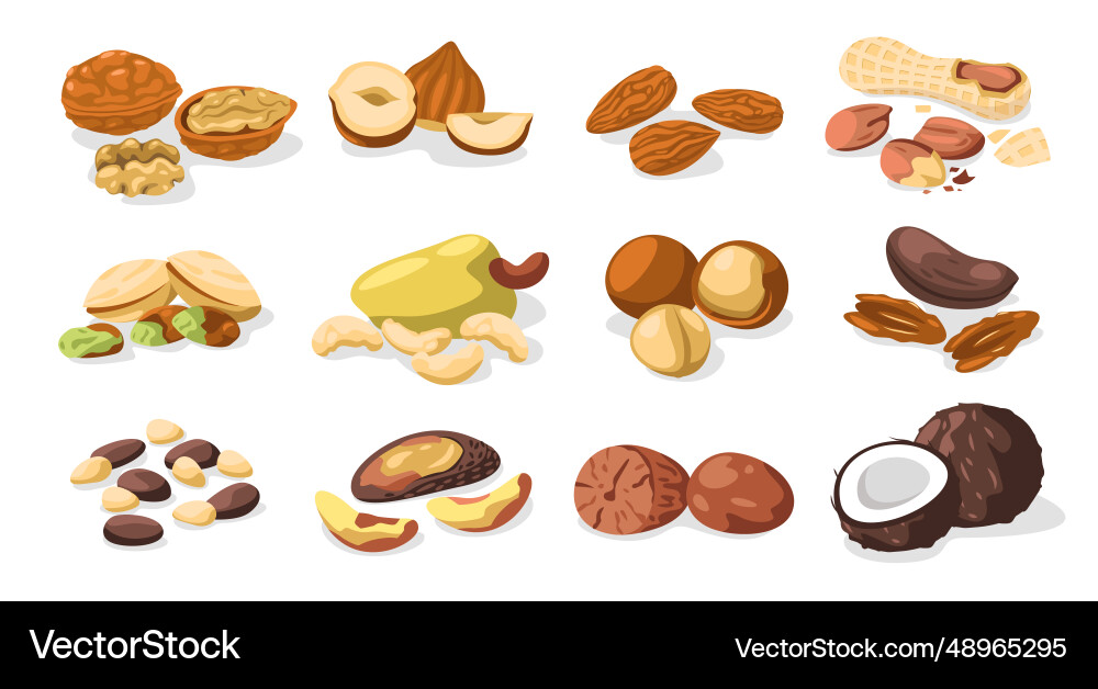 Set of nuts cartoon colorful kernels Royalty Free Vector