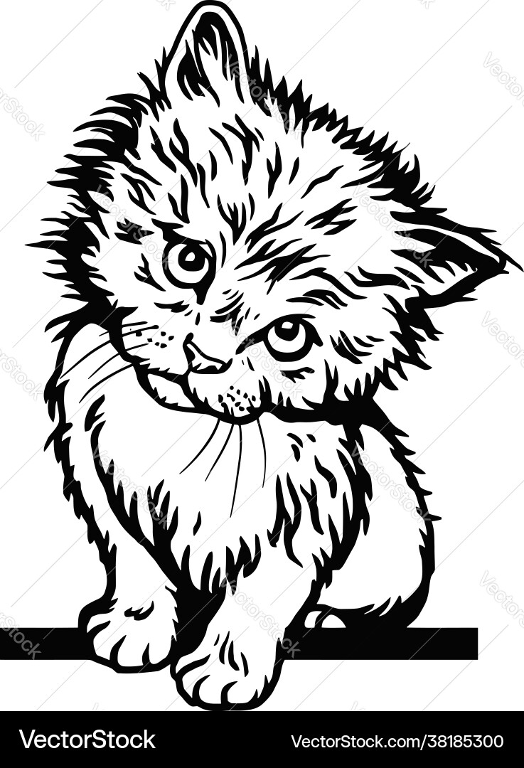 Cat peeking kitten - cheerful kitty isolated Vector Image