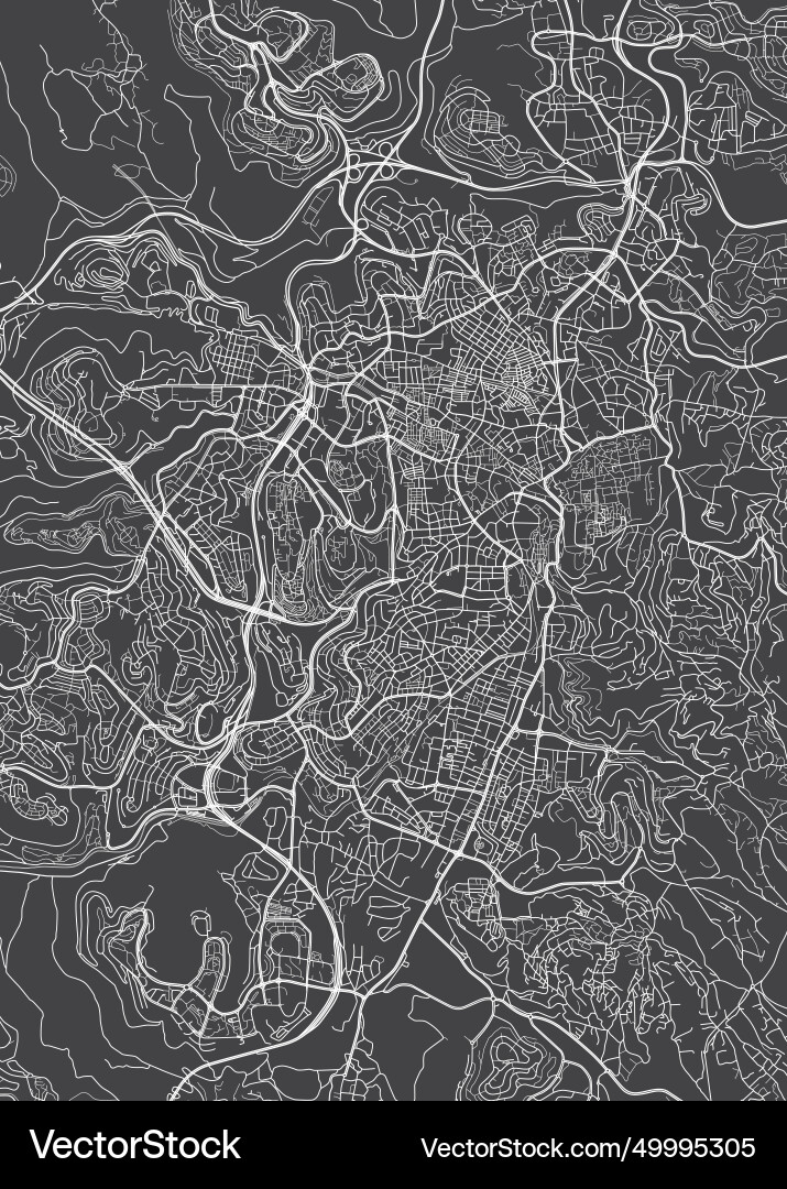 City map jerusalem monochrome detailed plan Vector Image