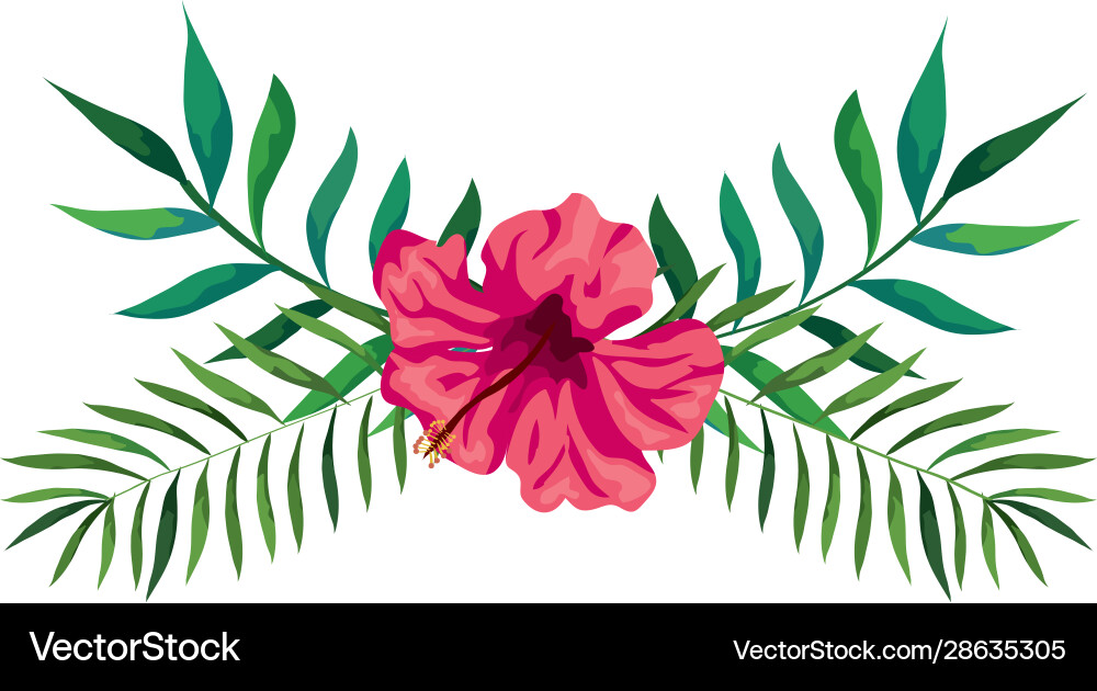 Flower pink color with branches and leafs Vector Image
