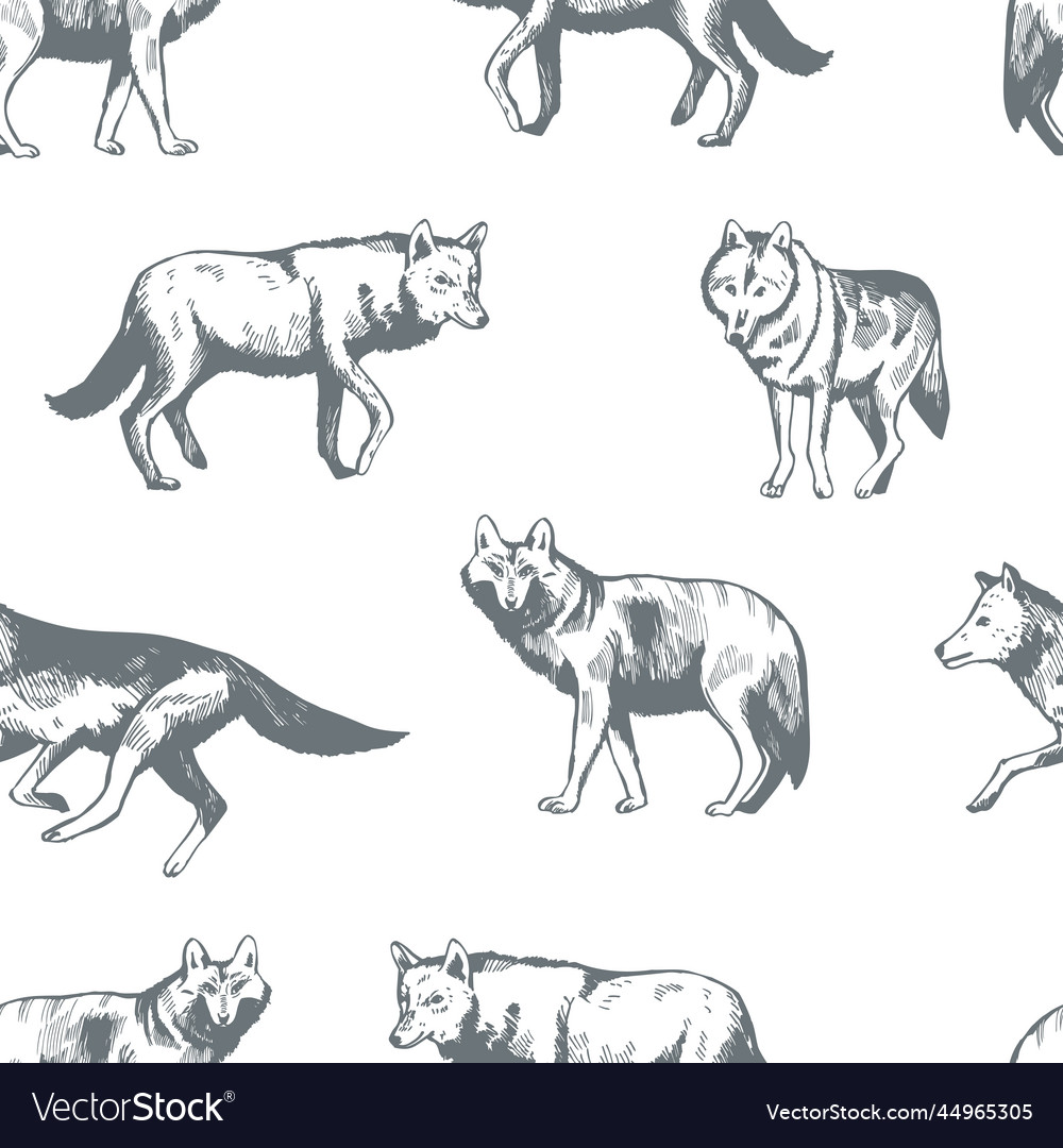 Pattern with wolf Royalty Free Vector Image - VectorStock