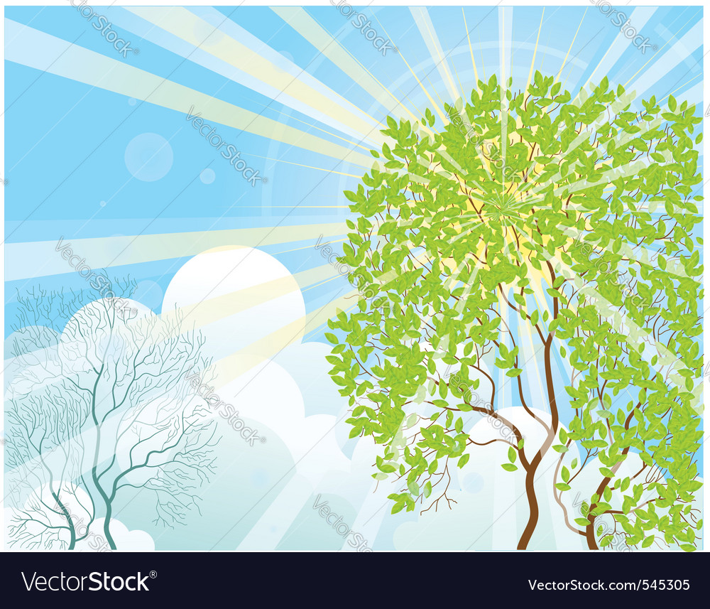 Sun rays Royalty Free Vector Image - VectorStock