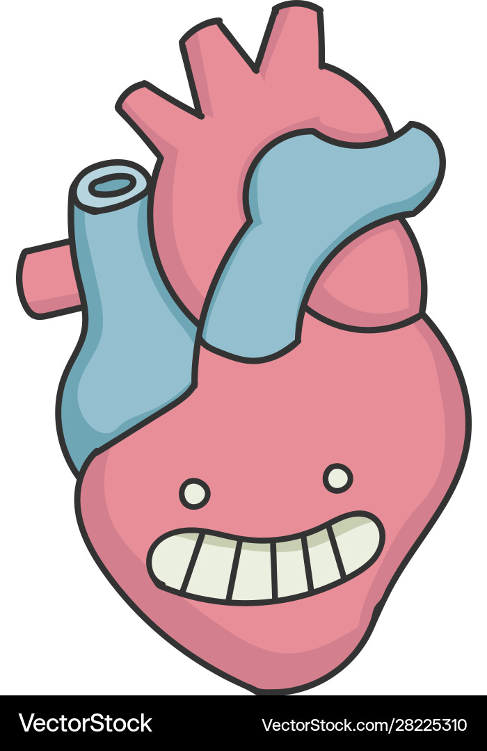 Smiling silly cartoon human heart Royalty Free Vector Image
