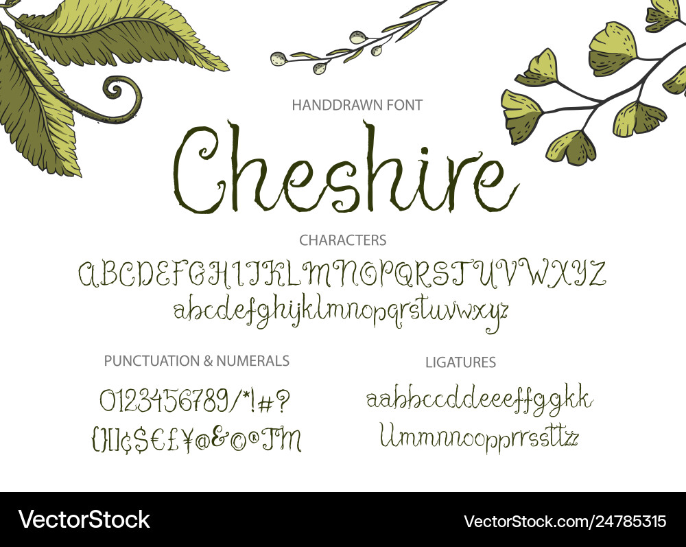 Alphabet calligraphy signs Royalty Free Vector Image