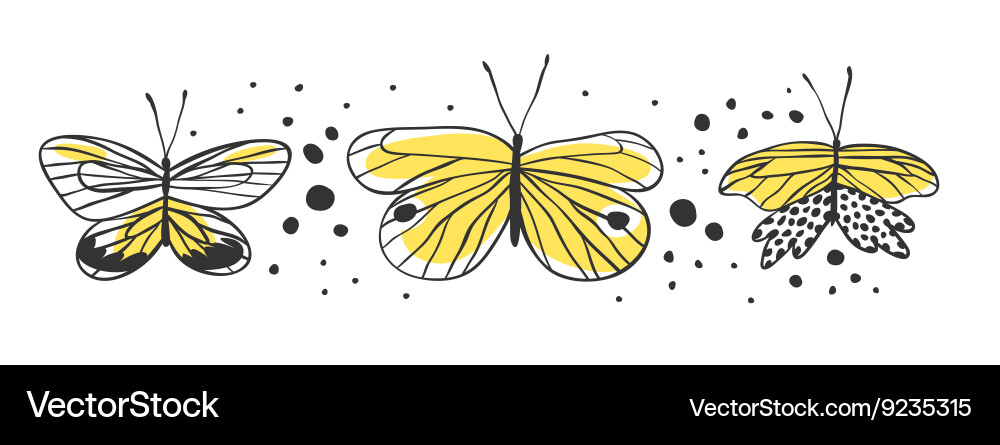Set of butterfly hand drawn Royalty Free Vector Image