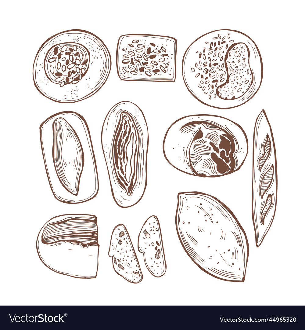 Bread sketch Royalty Free Vector Image - VectorStock