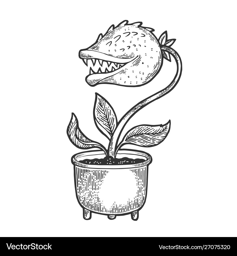 Cartoon flower with teeth sketch Royalty Free Vector Image