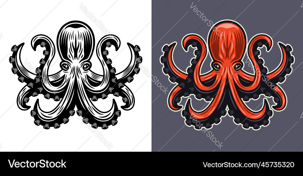 Octopus in two styles monochrome on white Vector Image