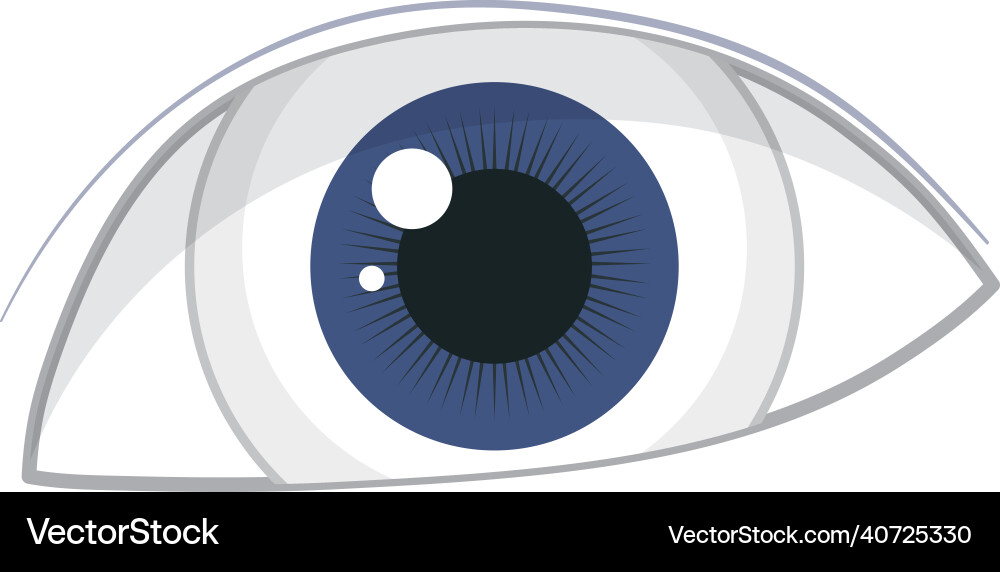 Human blue eye in cartoon style Royalty Free Vector Image