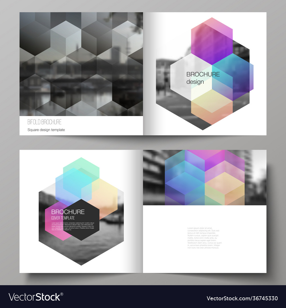 Layout two covers templates Royalty Free Vector Image