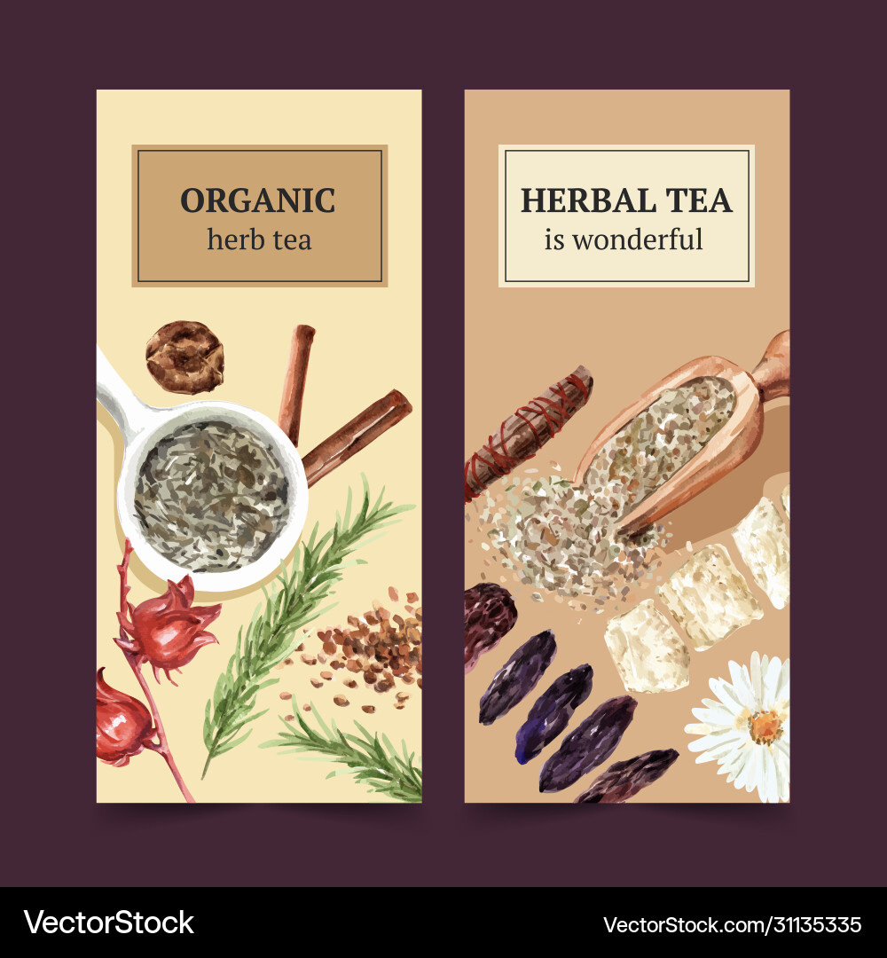 Herbal tea flyer design with cinnamon roselle Vector Image