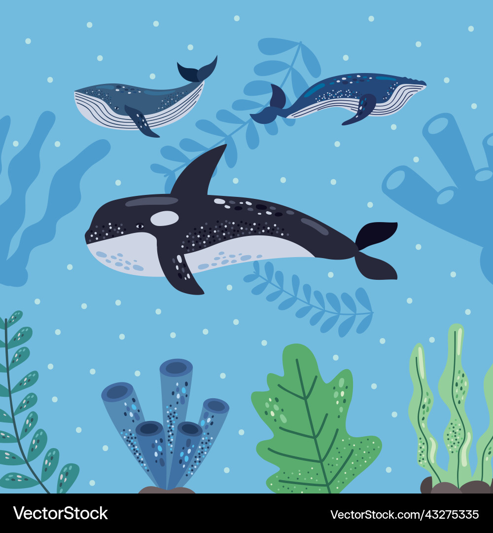 Three whales and sealife Royalty Free Vector Image