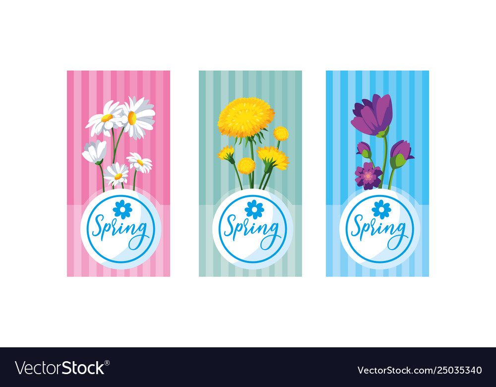 Beautiful spring flowers set cards Royalty Free Vector Image