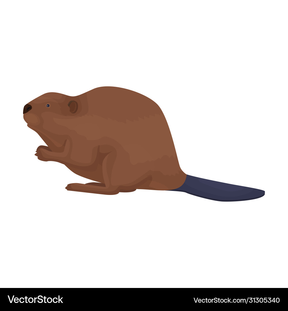 Beaver iconcartoon icon isolated Royalty Free Vector Image