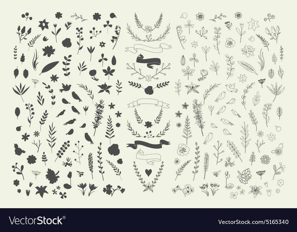 Decorative design elements Royalty Free Vector Image