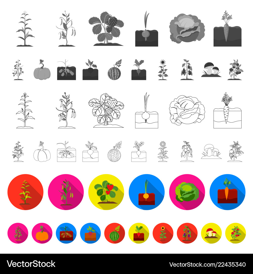 Plant vegetable flat icons in set collection Vector Image