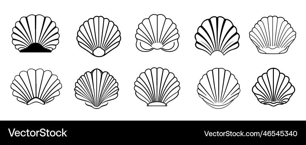 Sea shell set icons hand drawn sketch Royalty Free Vector