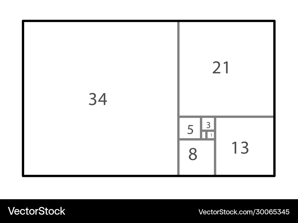 Golden proportion template in golden proportion Vector Image