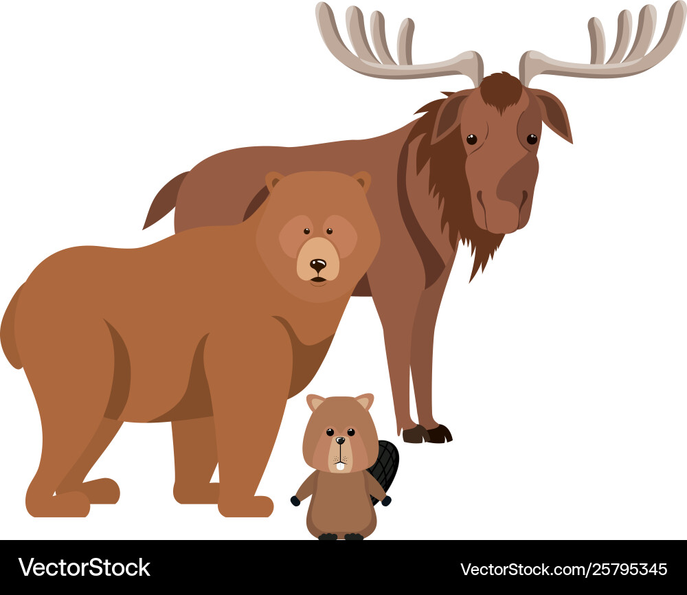 Isolated moose beaver and bear animal design Vector Image
