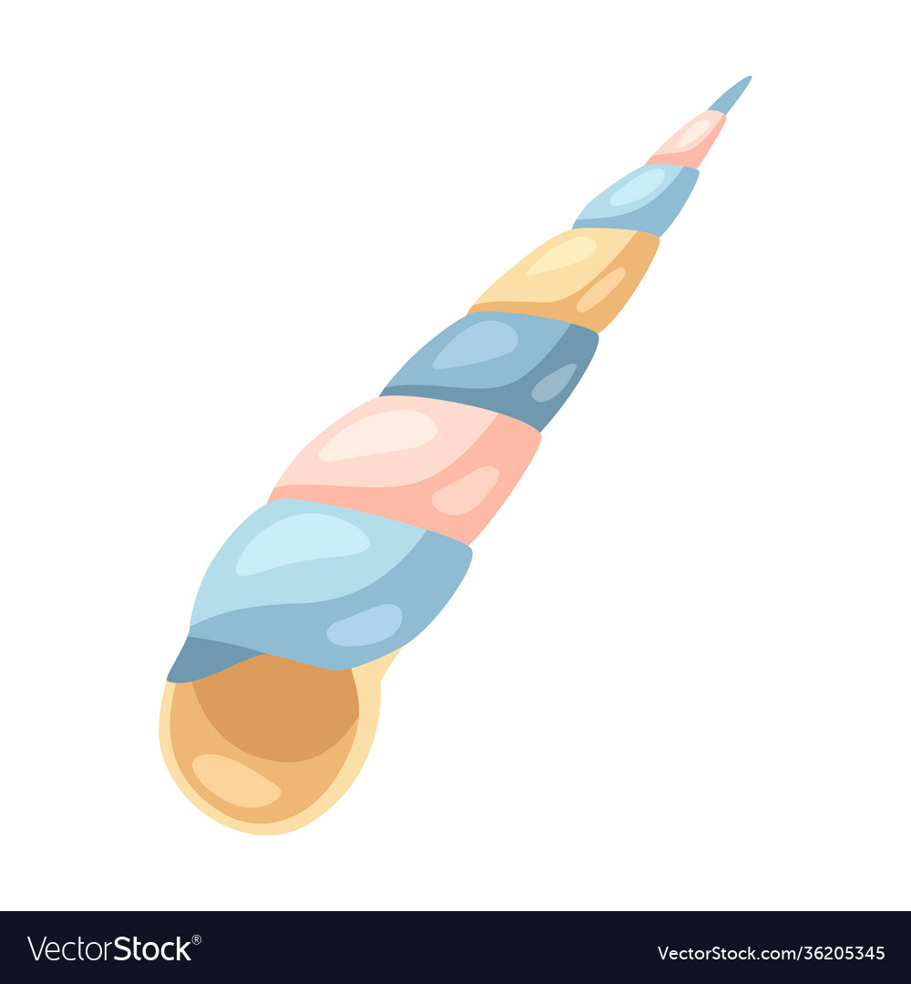 Seashell Royalty Free Vector Image - VectorStock