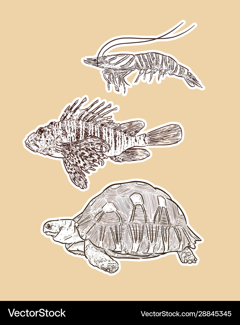 Set animal hand draw sketch Royalty Free Vector Image