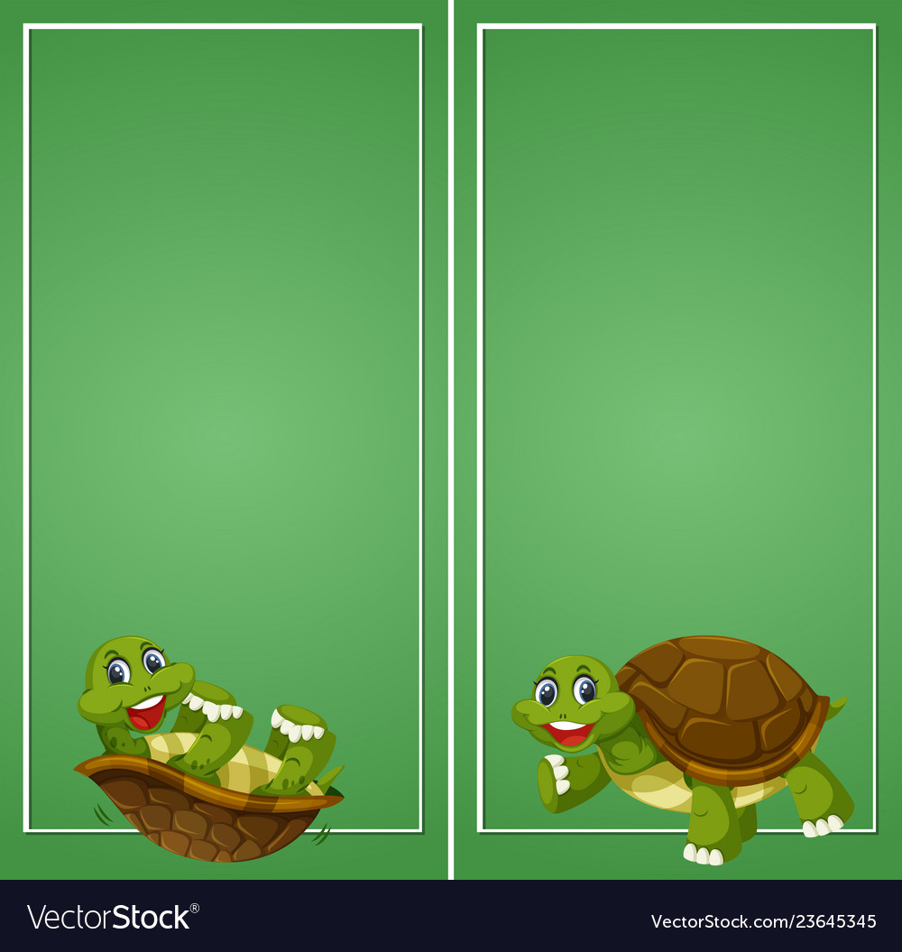 Turtle on green border Royalty Free Vector Image