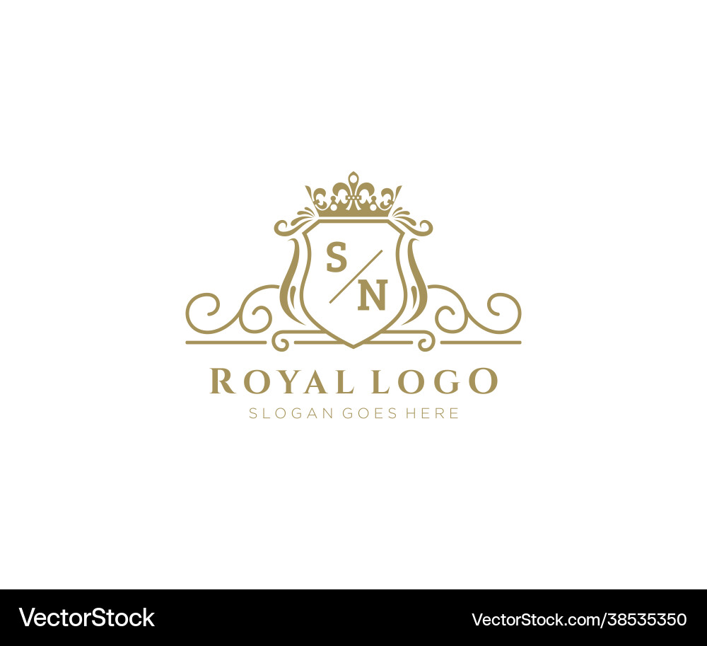 Initial sn letter luxurious brand logo template Vector Image